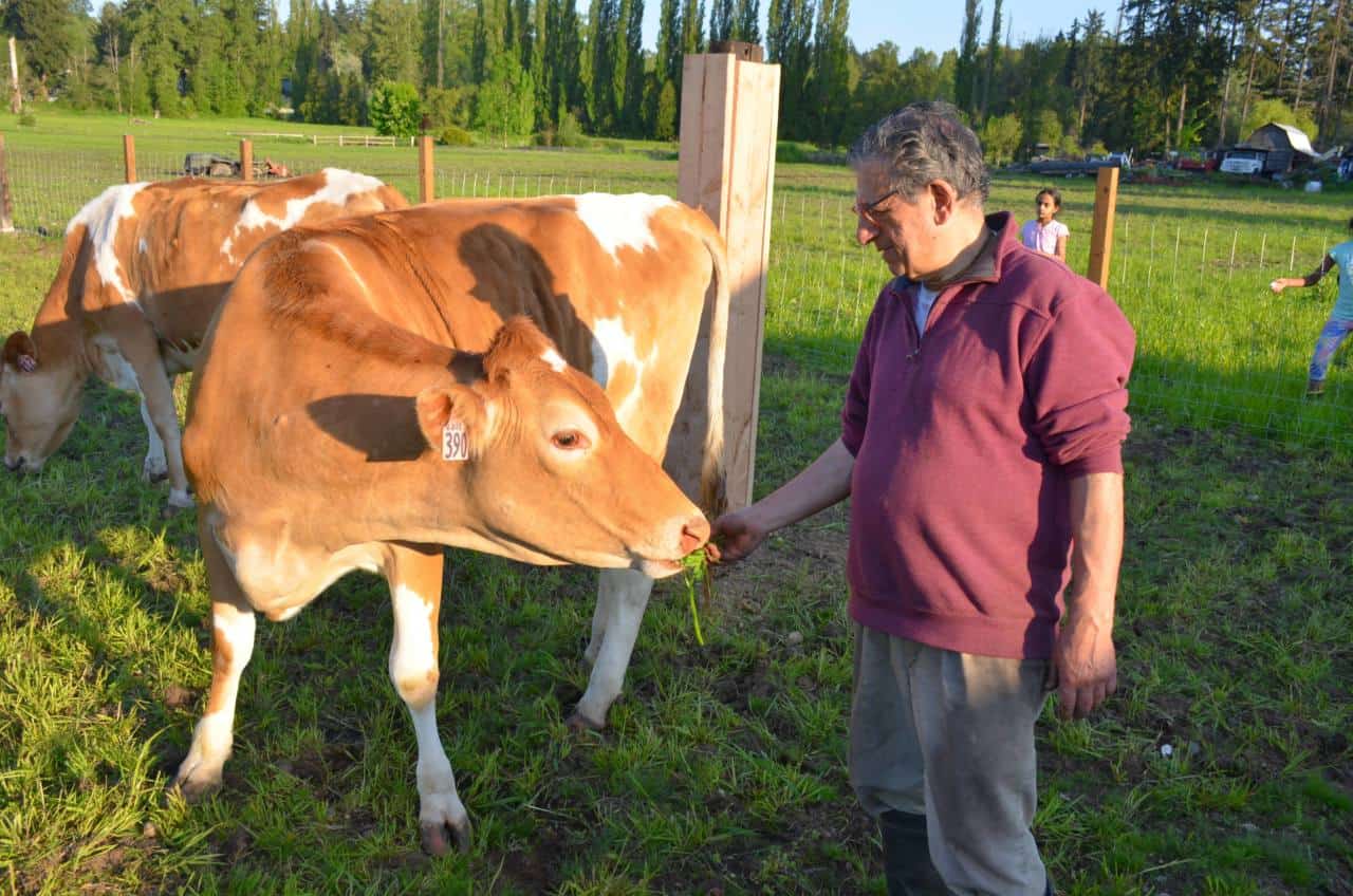 cow-protection | Vedic Cultural Center